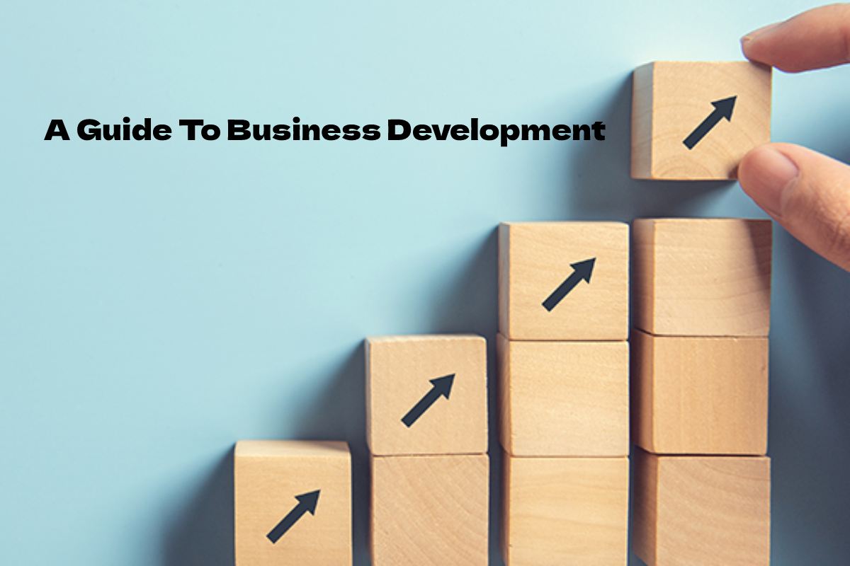 A Guide To Business Development - Web Business Trends