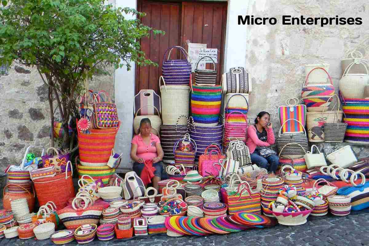 What is Micro Enterprises - Advatages, Types, And More